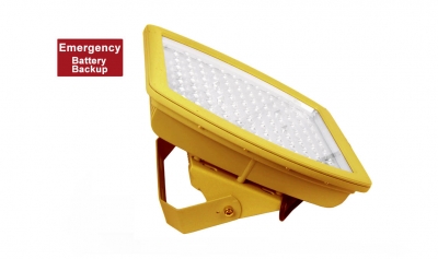 Explosion Proof Emergency Light 1.5 Hours - Class 1 Division 2 - 60W ...